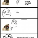 Musca cainele tau? – Meme & Rage Comics Romania