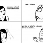 Bou si vaca – Meme & Rage Comics Romania
