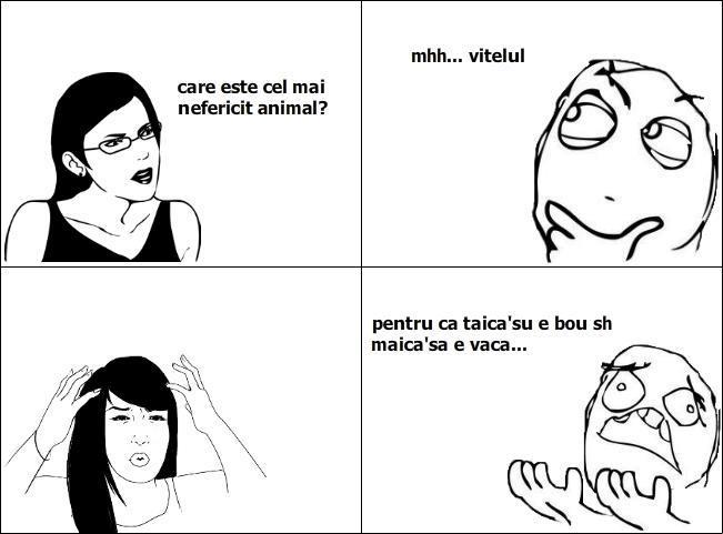 Bou si vaca – Meme & Rage Comics Romania