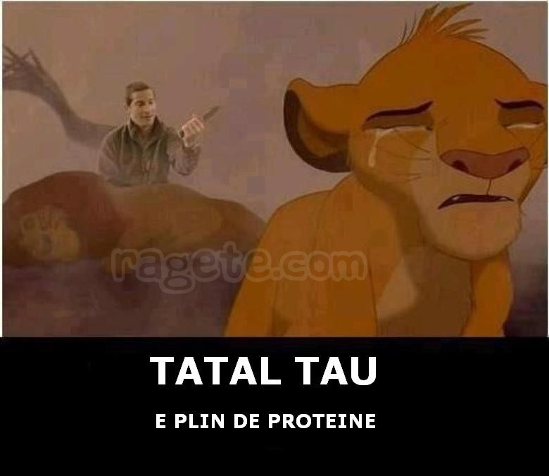 Tatal tau – Meme & Rage Comics Romania