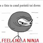 Feel Like A Ninja – Meme & Rage Comics Romania