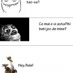 Rata+?=Panda – Meme & Rage Comics Romania