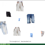 Triunghiul bermudelor – Meme & Rage Comics Romania