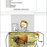 Vreau un bou :))) – Meme & Rage Comics Romania