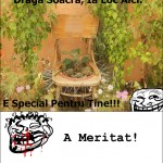 Scaun pentru soacra! – Meme & Rage Comics Romania